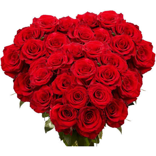 Flower Delivery: McKinney-Frisco & surrounding areas Same Day Delivery